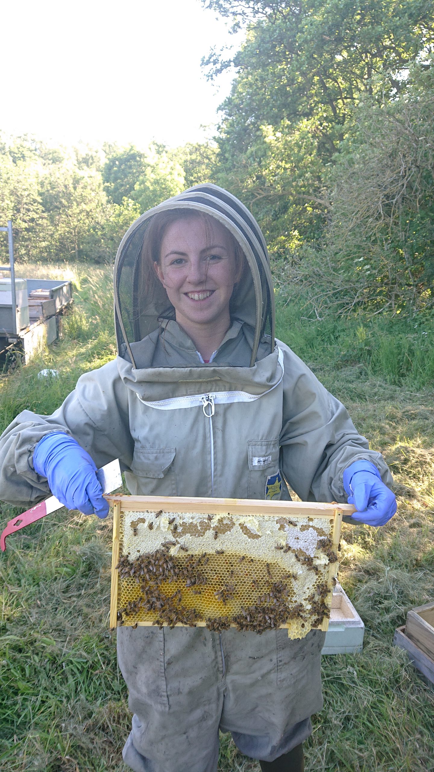 A Day in the Life of an Apprentice Beekeeper - QEST