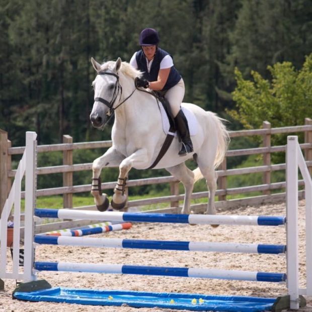 Helen Reader Recognised For Her Contribution To The Equestrian Industry ...