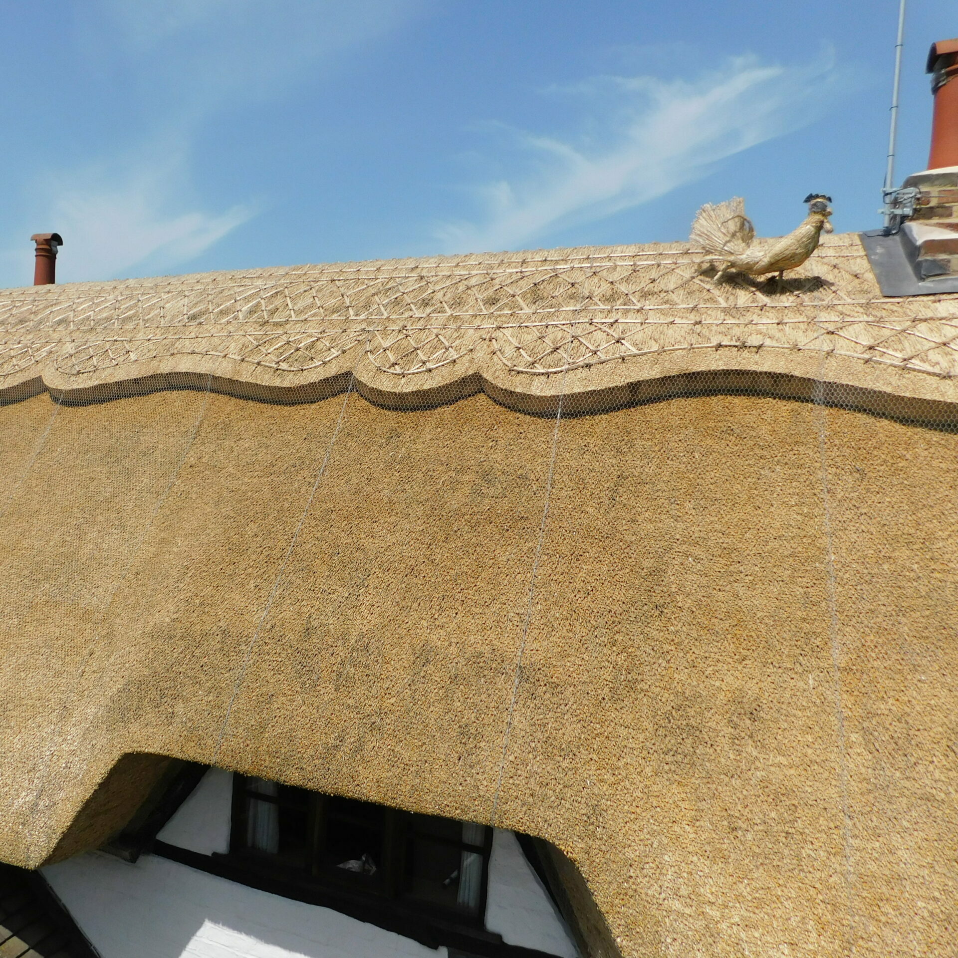 A Day in the Life of a Thatching Apprentice - QEST