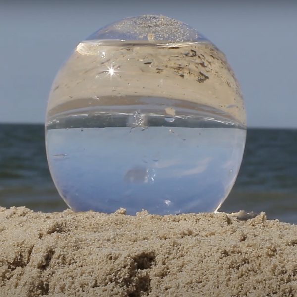 The Queen Elizabeth Scholarship Trust (QEST)